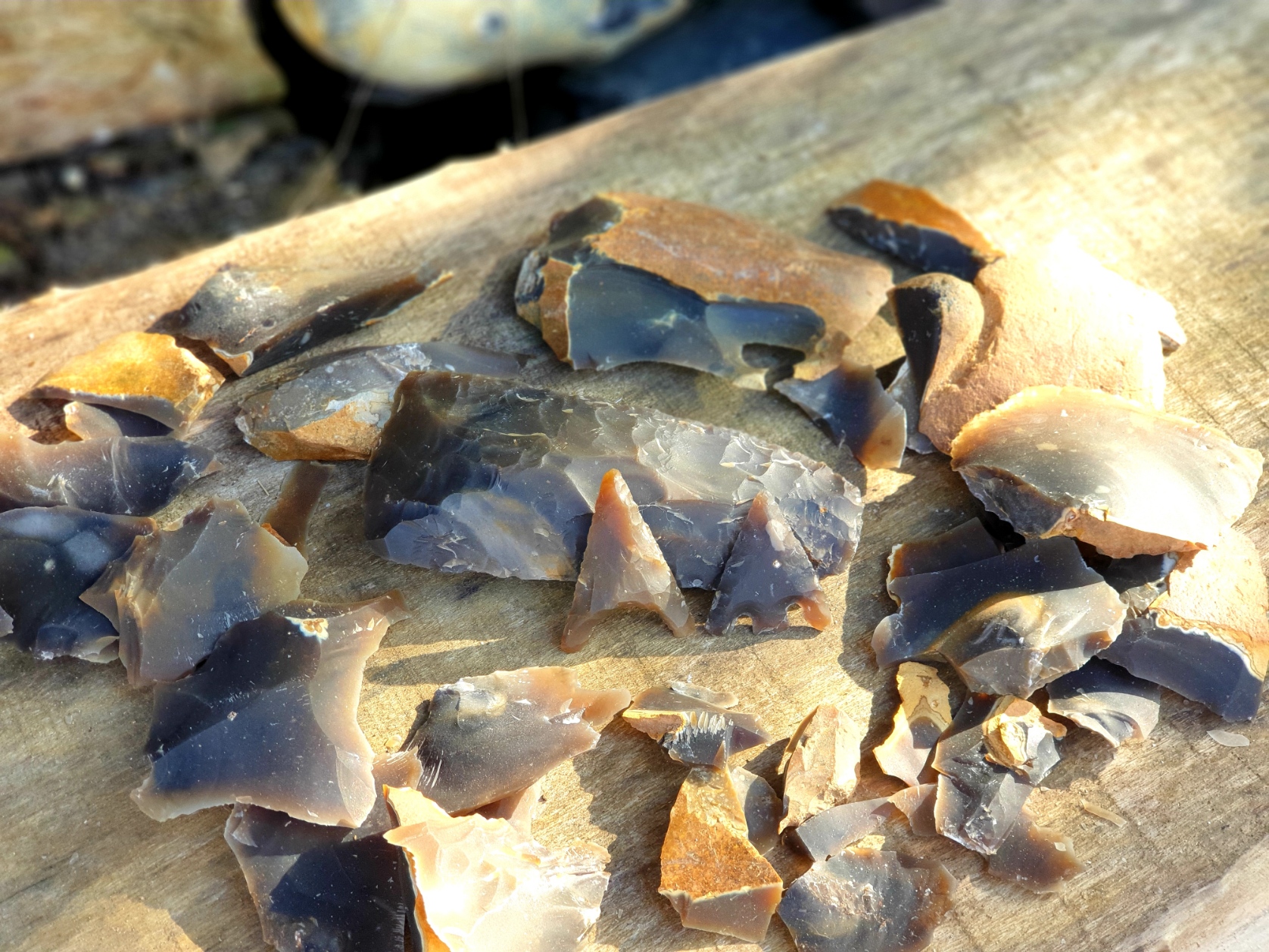 Workshops/Events – The Prehistoric Workshop