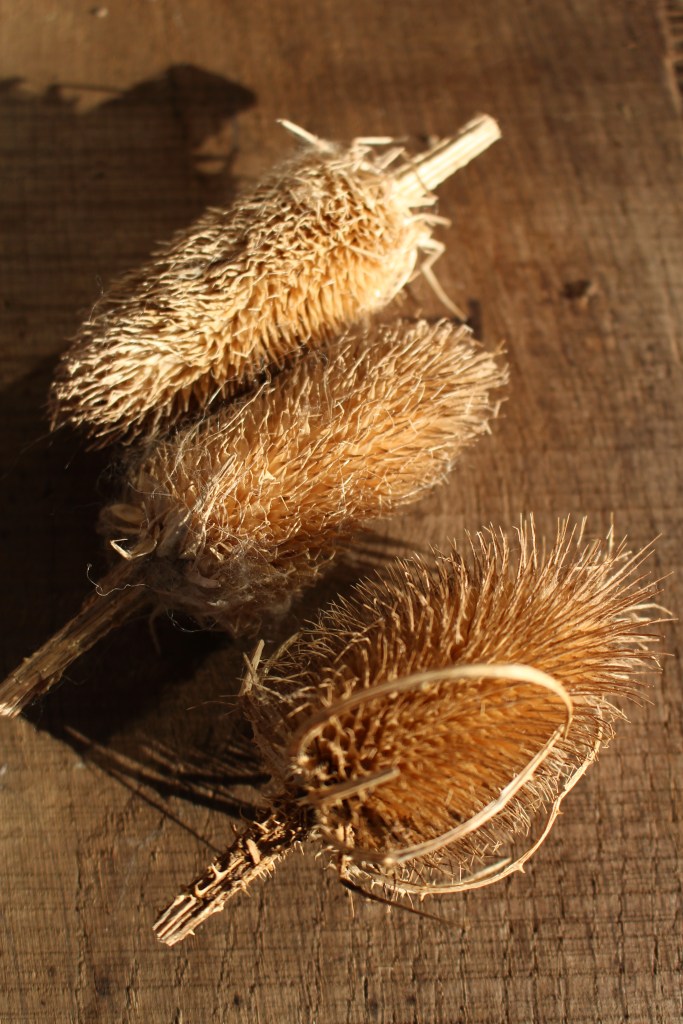 Processing Flax – The Prehistoric Workshop